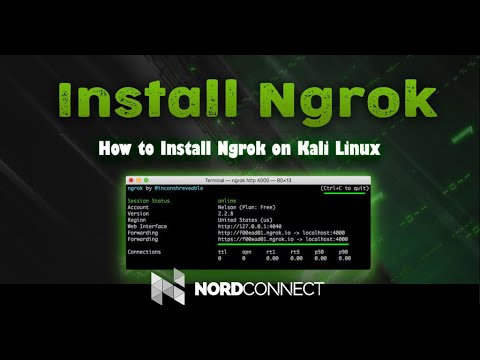 Everything About Ngrok How to use & install Ther Easy Way!!