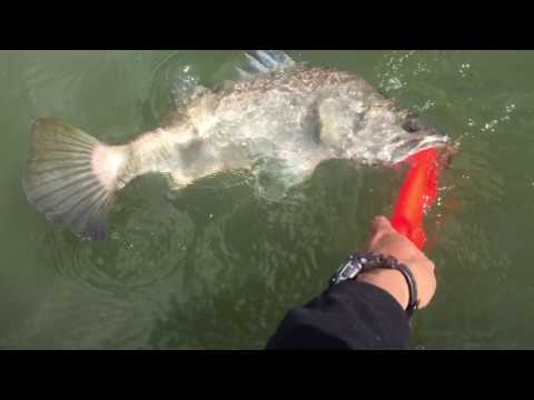 trim 2F358442 BD65 4F41 9B2D B4795AC32DE8