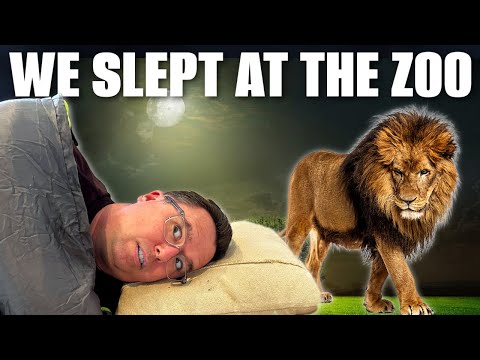 Sleeping at the San Deigo Safari Park. Is it Worth it?