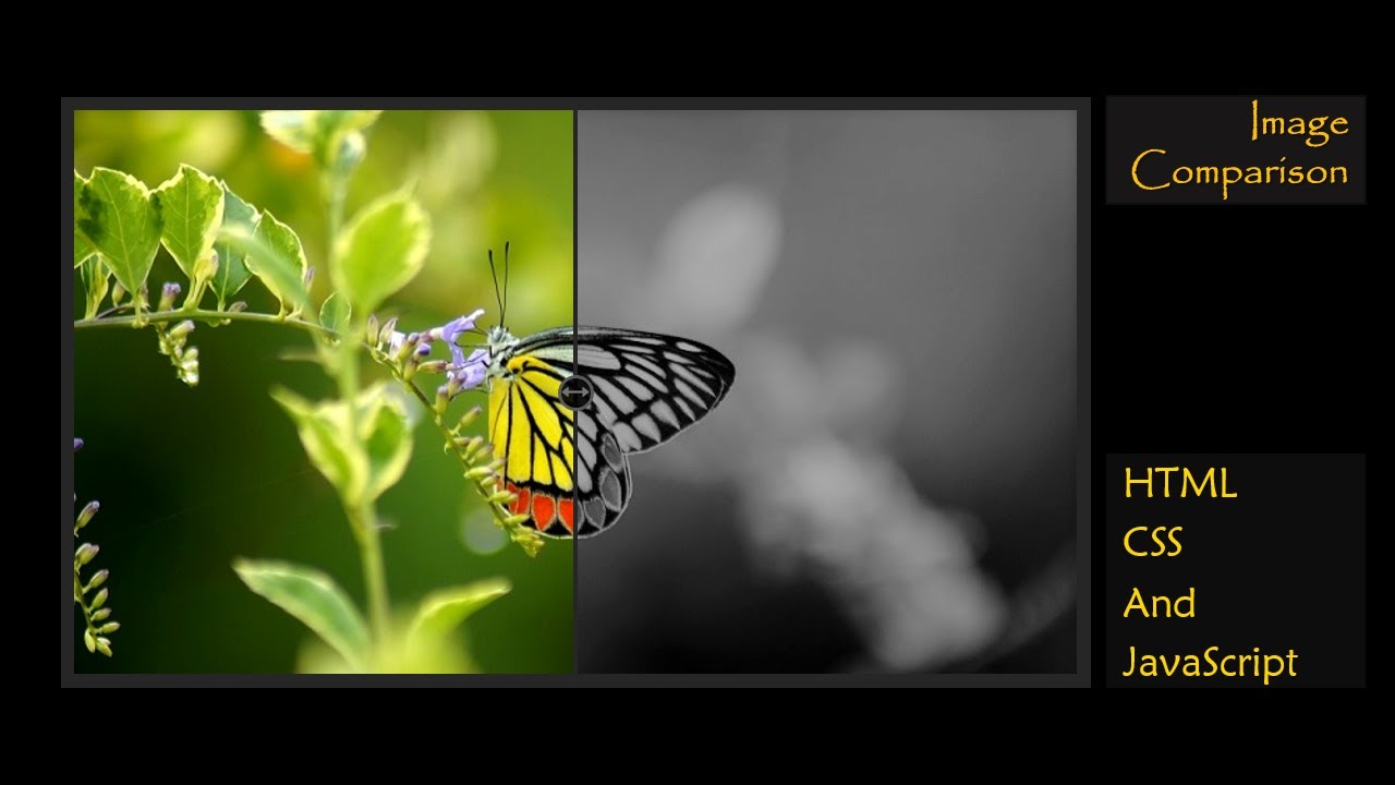 Image Comparison Slider Using HTML CSS and JavaScript | Image Comparison | ProgrammingTT