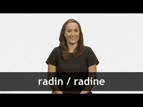 English Translation of “RADIN” | Collins French-English Dictionary