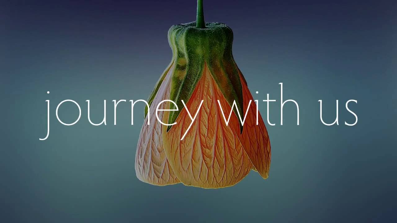 What is Gracefully Truthful?