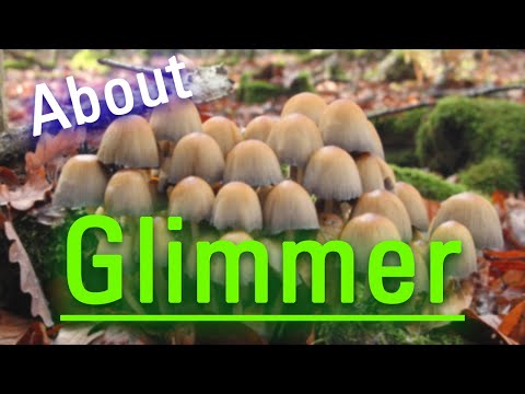 How Does Glimmer Look? | What is Glimmer? | How to Say Glimmer in English?