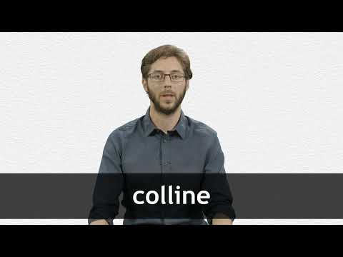 English Translation of “COLLINE” | Collins French-English Dictionary