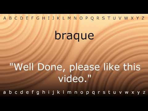 Here I will teach you how to pronounce 'braque' with Zira.mp4