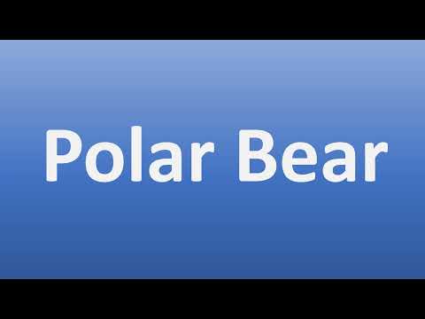 How to Pronounce Polar Bear