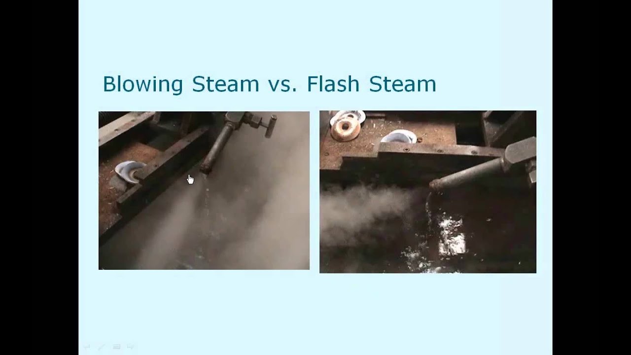 Lesman Webinar: Steam Traps 101: Basic Technology and Applications