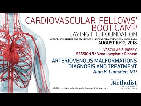 Arteriovenous Malformations Diagnosis and Treatment (Alan B. Lumsden, MD)