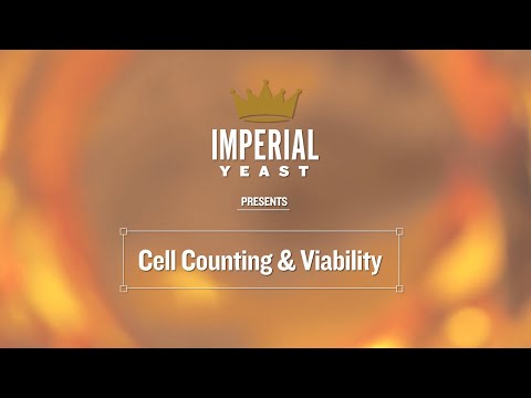 Cell Counting & Viability Testing