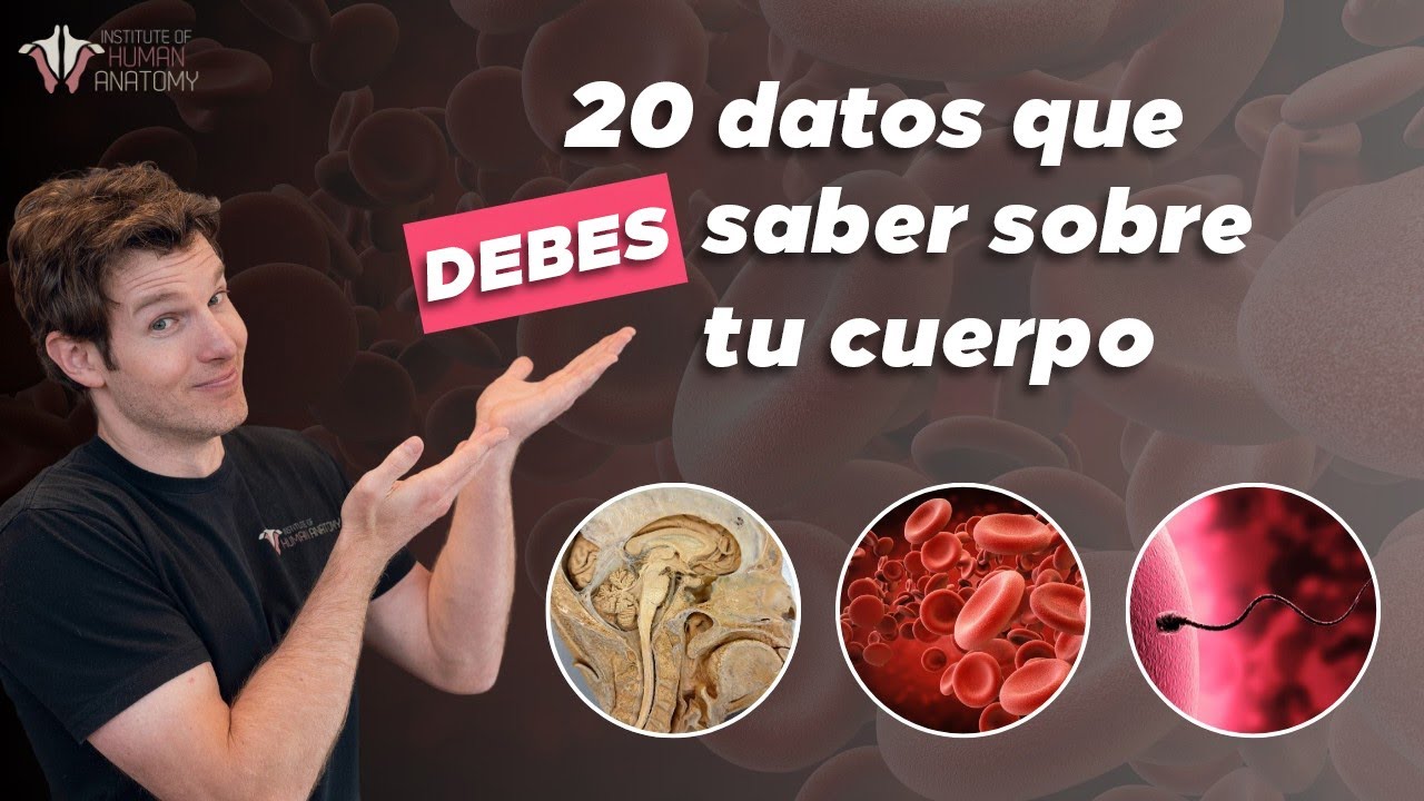 20 CURIOSIDADES que no conocías sobre el CUERPO HUMANO