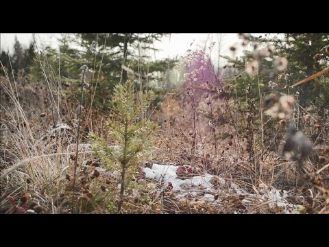 Episode Six: Reclamation and Remediation
