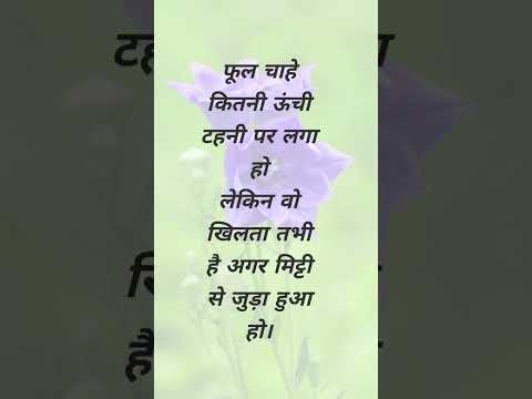 Reality quotes | Reality Life Quotes | Life Reality Motivational Quotes In Hindi #shorts #realty
