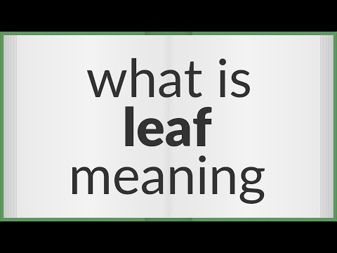 Leaf | meaning of Leaf