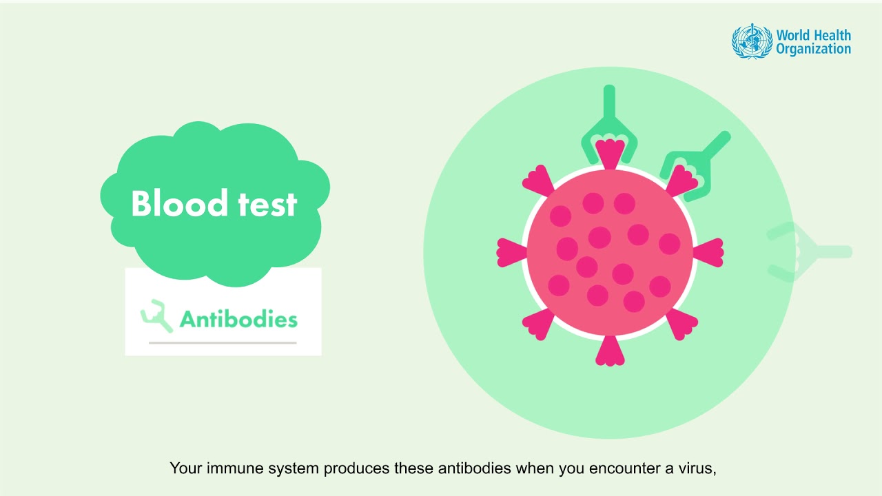 Different tests for COVID-19
