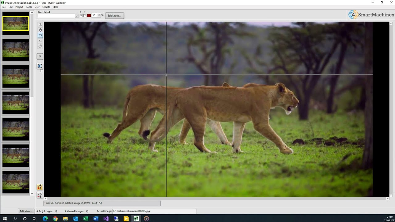 Image Annotation Lab - Video Loading
