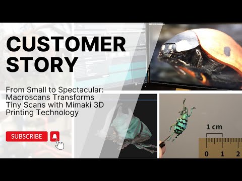 From Small to Spectacular: Macroscans Transforms Tiny Scans with Mimaki 3D Printing Technology