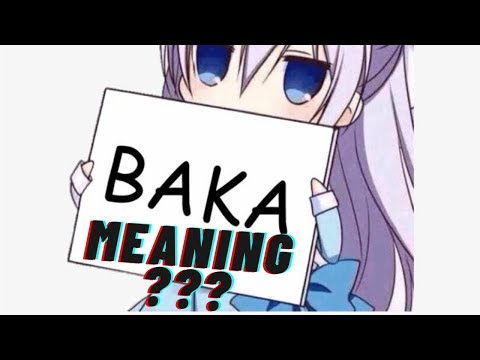 What Does BAKA Mean In Anime??
