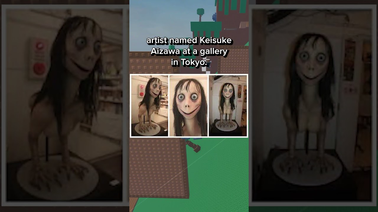 The Story behind MOMO 🦅