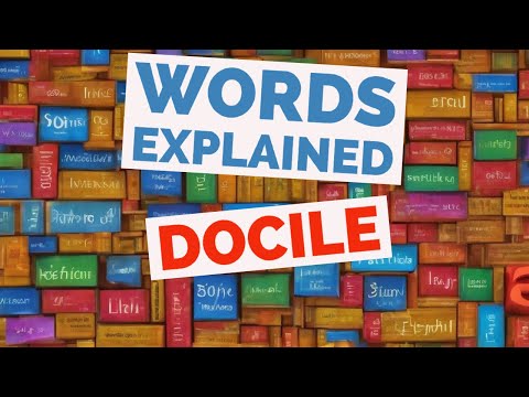 Docile - Words Explained