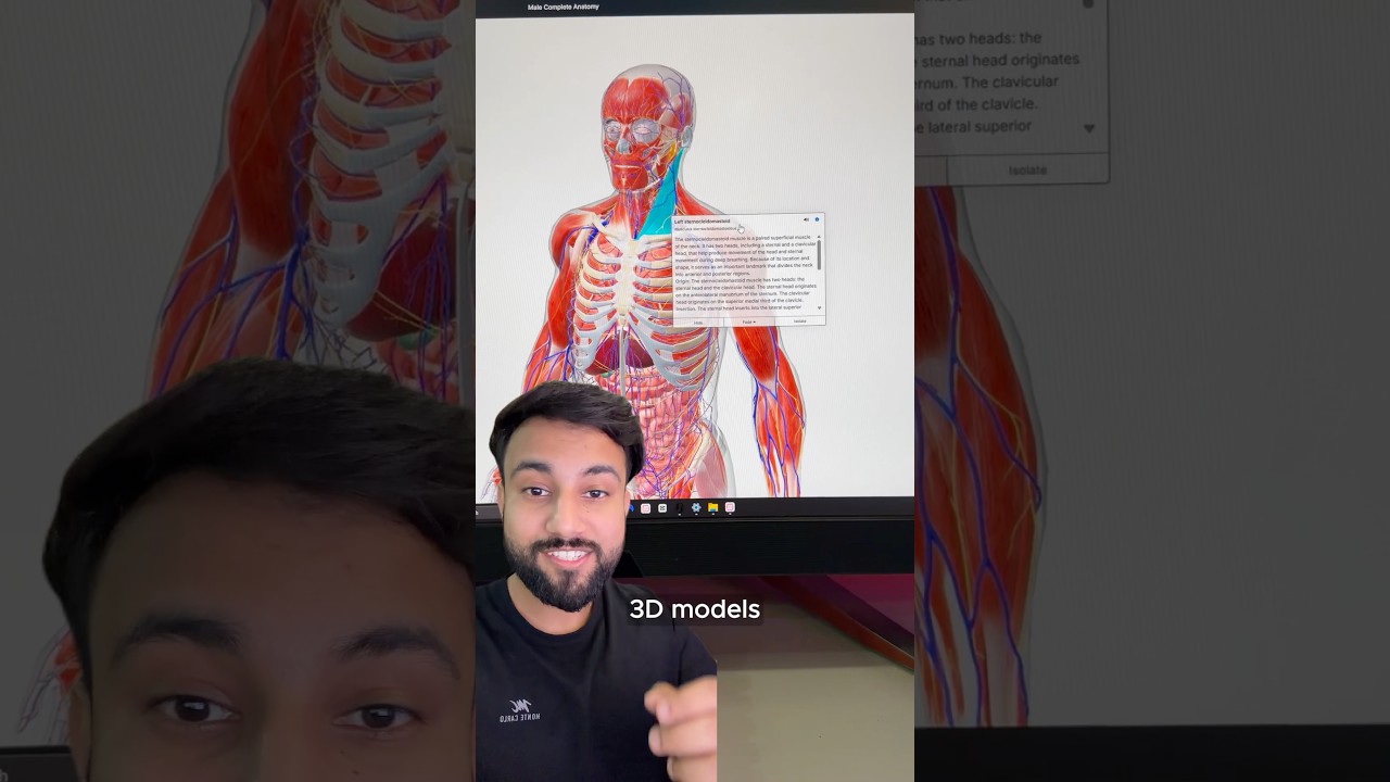How to Find Free 3D Human Anatomy Animations #ai