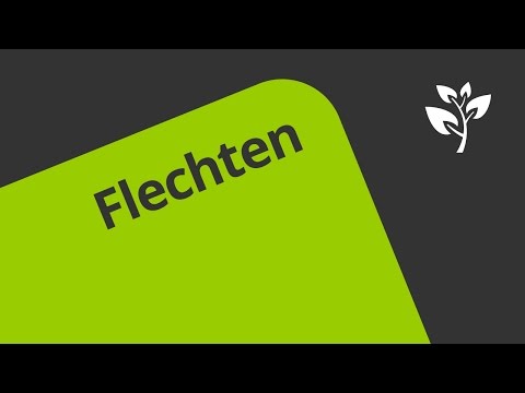 Flechten als Beispiel für Symbiose | Biologie | Botanik