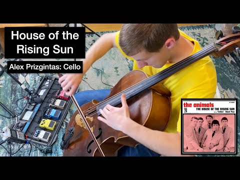 Hello. I'm Alex. – Alex Prizgintas: Historian, Student, and Musician