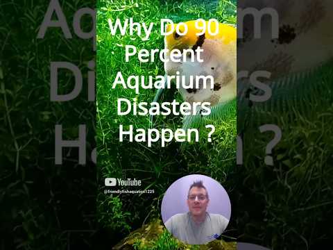 New to fishkeeping watch this Nitrogen Cycle Explained!