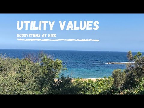 Utility Value Ecosystem Management and Protection