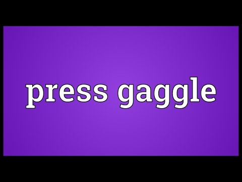Press gaggle Meaning