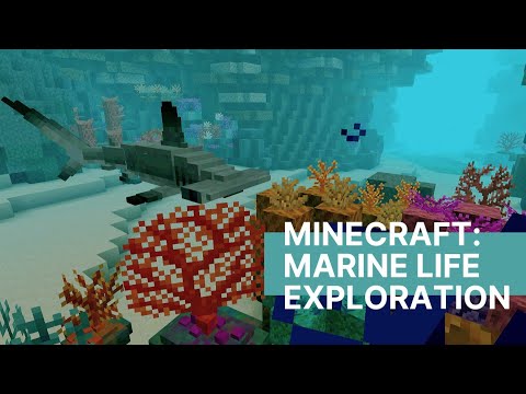 marine biologist roleplay exploration in minecraft