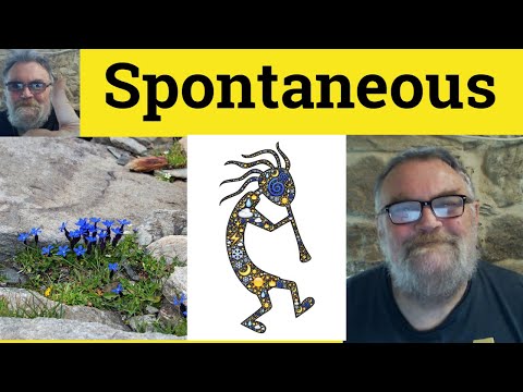 😎 Spontaneous Meaning - Spontaneity Examples - Spontaneous Defined - Spontaneous Spontaneity