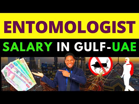 Entomologist Salary I Pest Control Technician job Salary in UAE I Entomology jobs salary