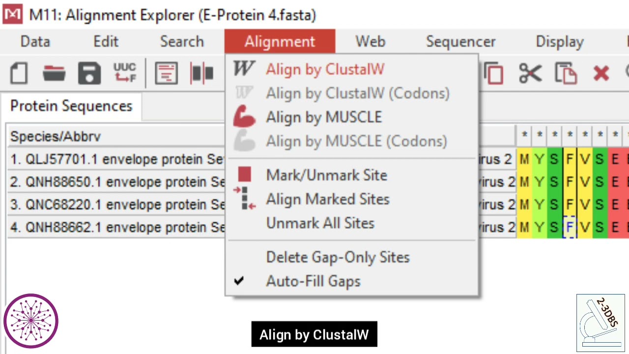 How perform alignment & phylogenetic analysis in MEGA | Biological Sciences | Superior University