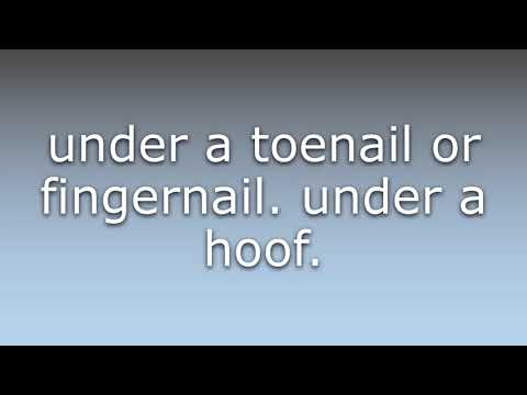What does Subungual mean?
