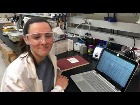 Scientific misconduct