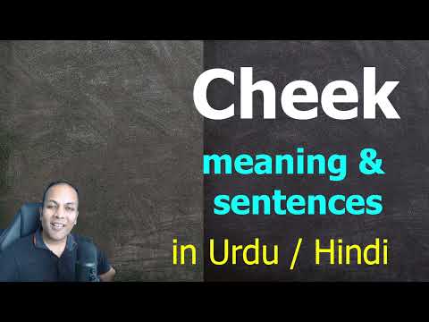Cheek meaning in Urdu Hindi | Different meaning of Check in Urdu with Example sentences translation