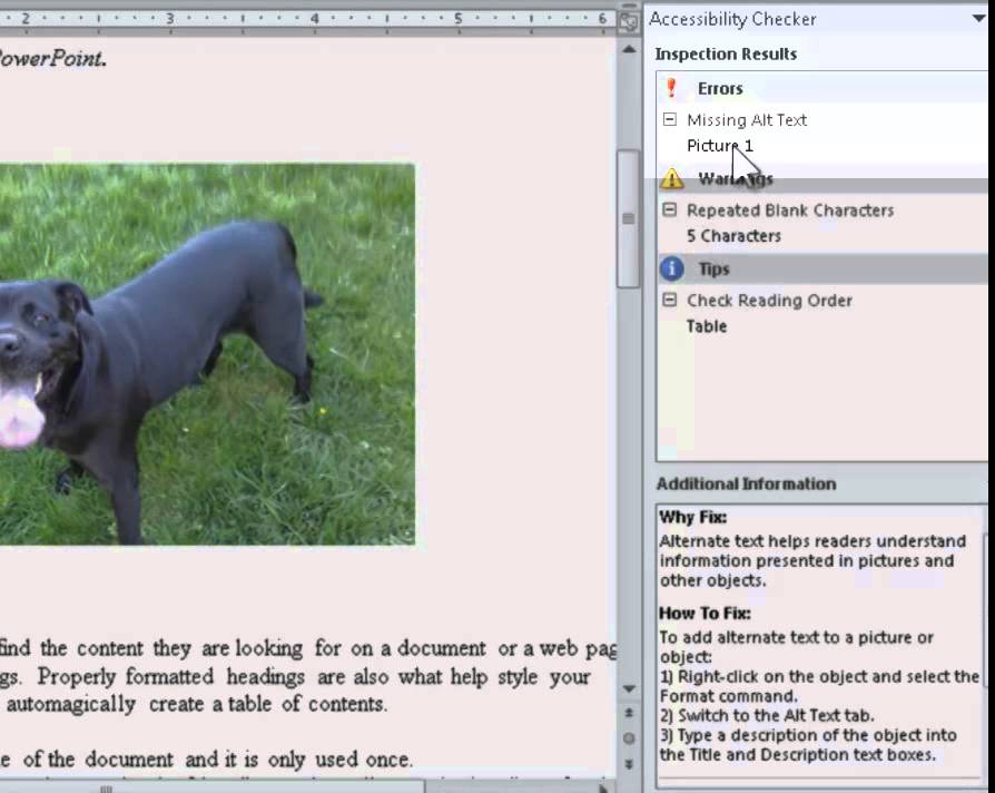 MS Word: Accessibility Checker - Image Alt text