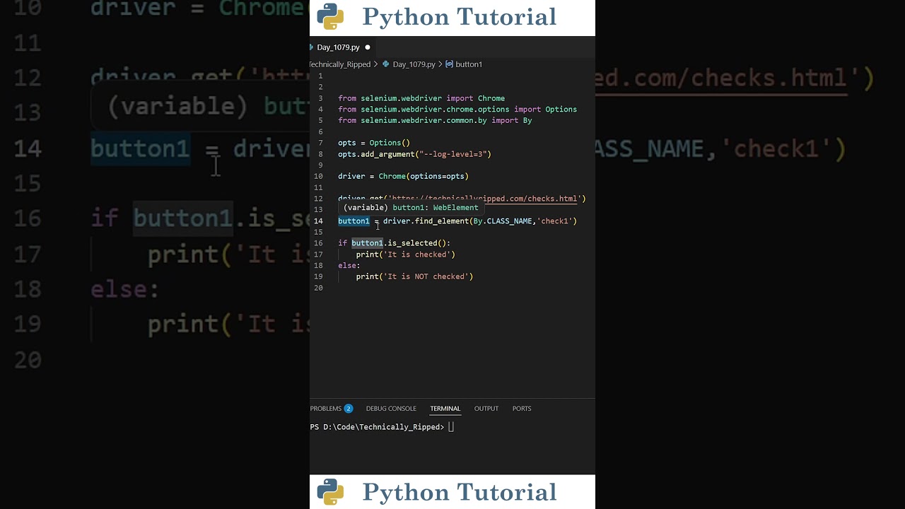 How to Verify Checkbox State Using Selenium | Python Tutorial