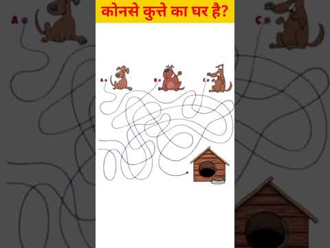 कोनसे कुत्ते के पास घर है? | Dimagi paheliyan | Hindi paheliyan | #shorts
