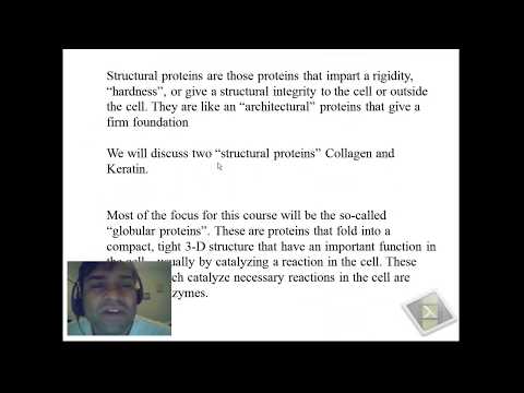 Protein structure, Ramachandran Diagram, Collagen and Keratin