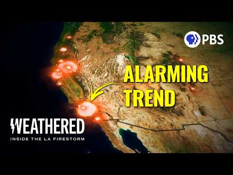 The REAL Story of the LA Fires | Full Documentary
