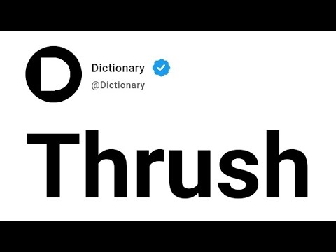 Thrush Meaning In English