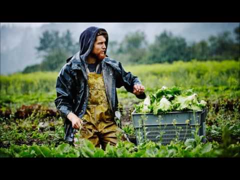 Conventional vs. Organic Farming... Which One?