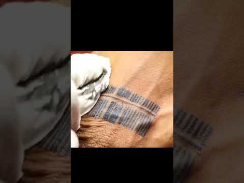 barcode Tattoo #shorts
