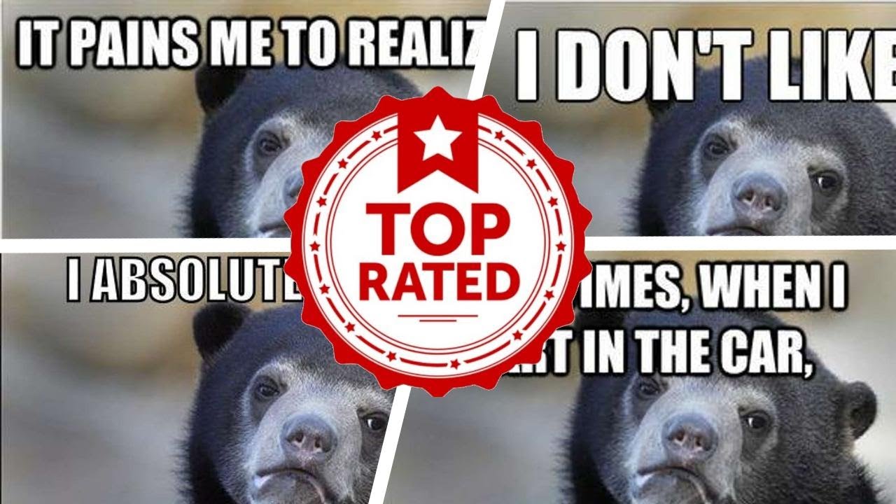 The Very Best Of The Confession Bear Meme 🤩