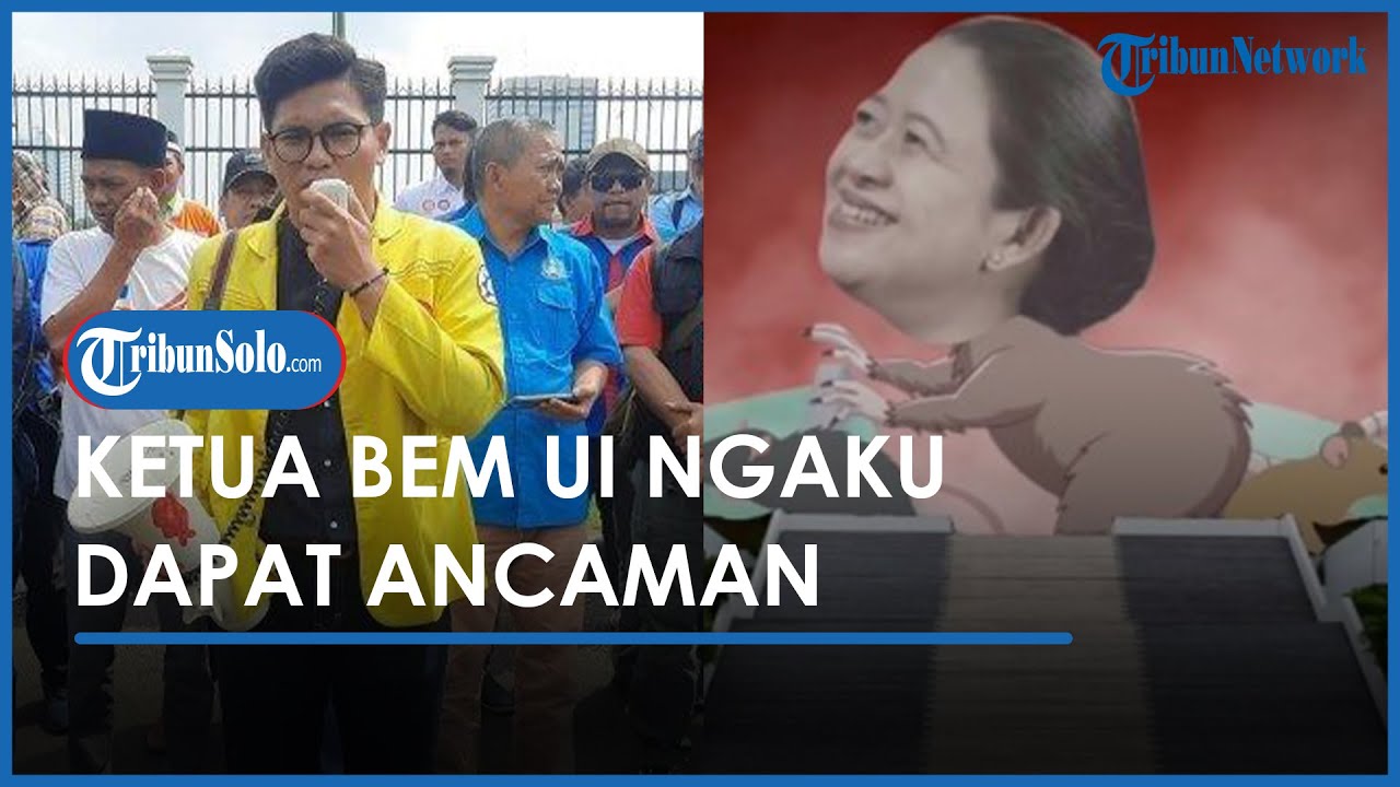Buntut Buat Meme Puan Maharani Berbadan Tikus, Melki Ketua BEM UI ...