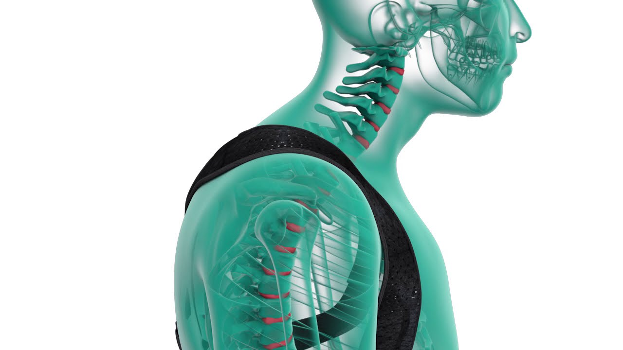 Posture Corrector 3D animation