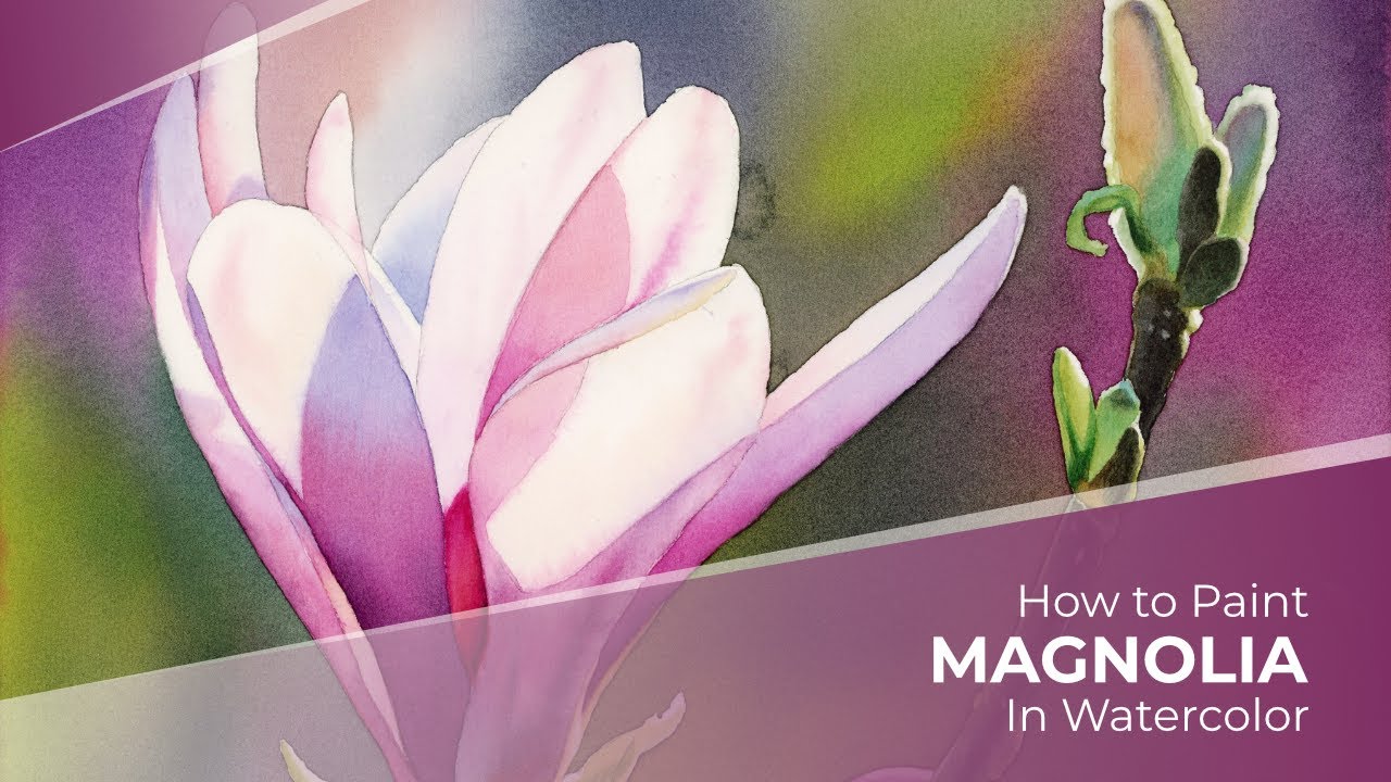 Magnolia - Tutorial Preview