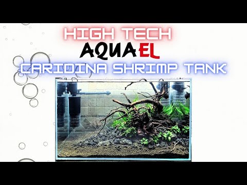 High Tech Caridina Shrimp Tank
