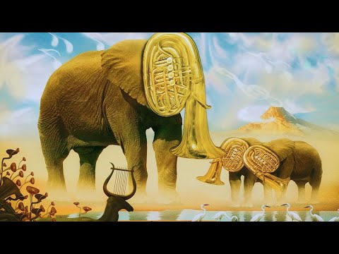 MUSICAL ELEPHANTS | LISTEN AND READ | MOETENGLISHCLUB.COM